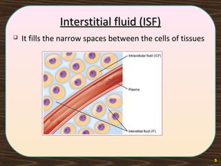 Lymphatic system | PPT