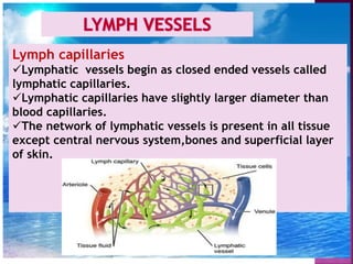 Lymphatic system | PPTX