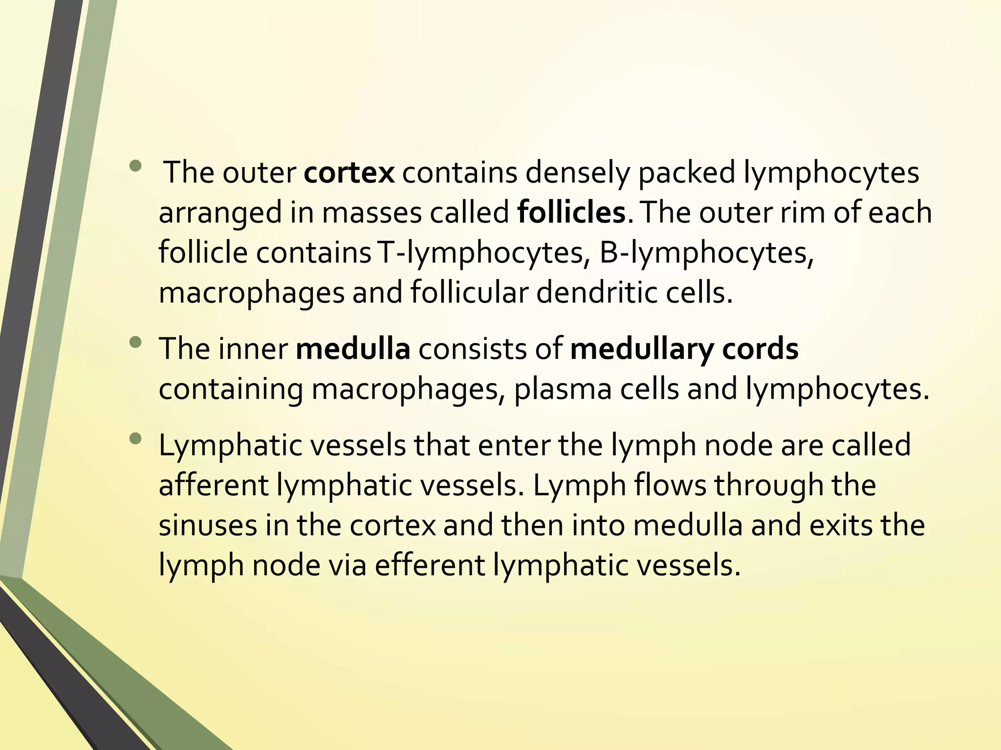 Lymphatic system: Anatomy and Physiology | PPTX