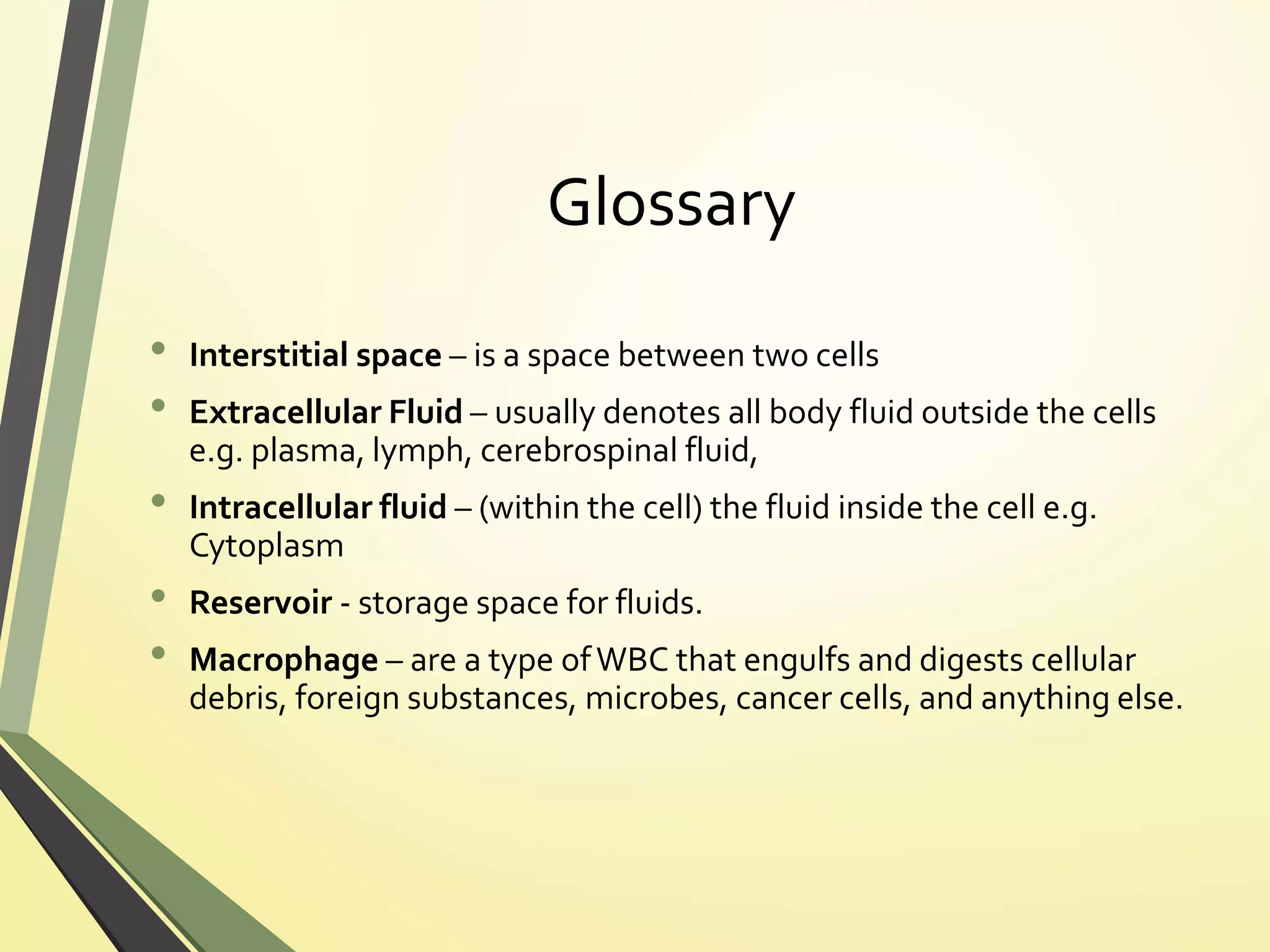Lymphatic system: Anatomy and Physiology | PPTX