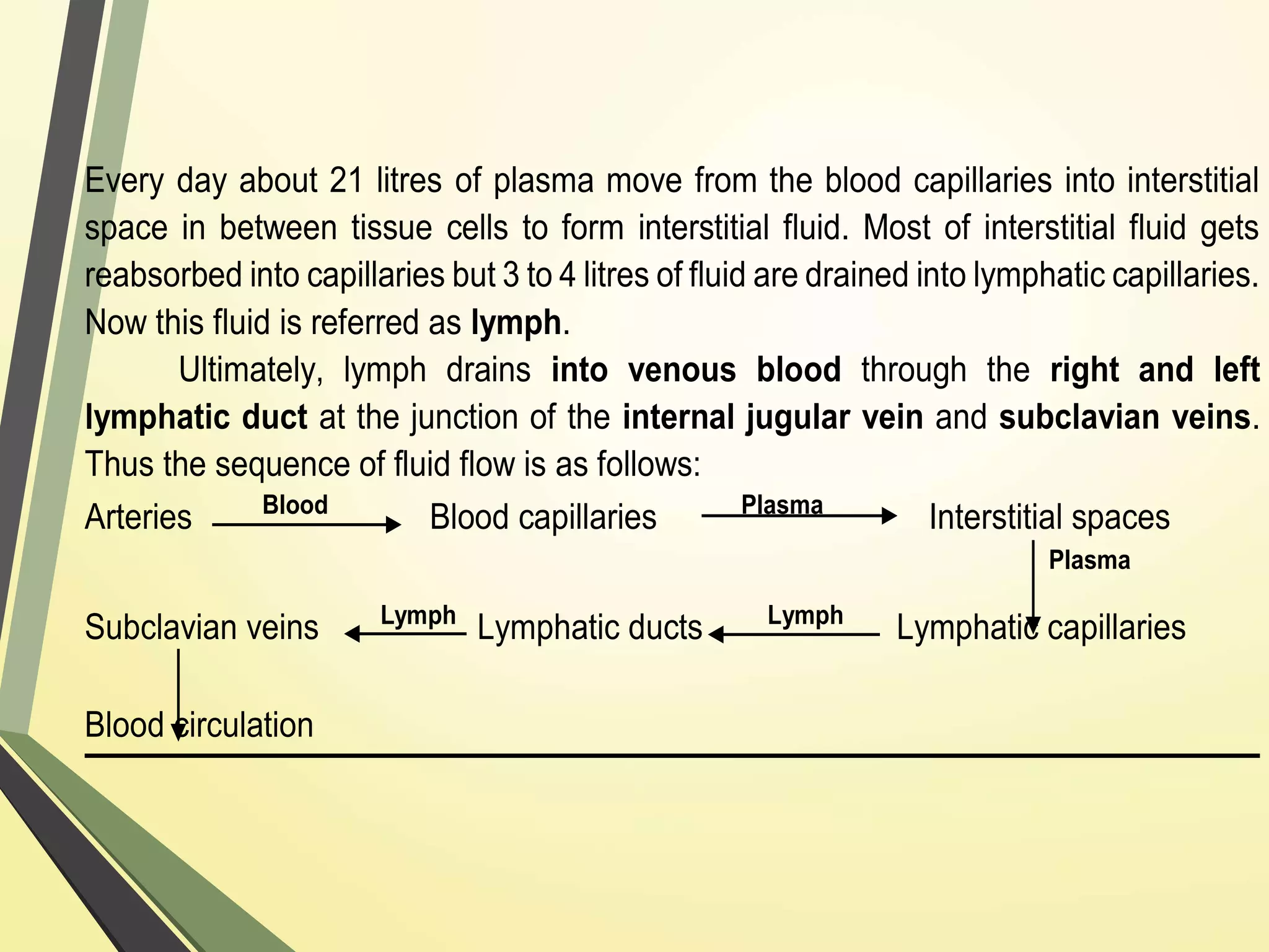 Lymphatic system: Anatomy and Physiology | PPTX