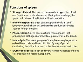 Lymphatic system: Anatomy and Physiology | PPTX