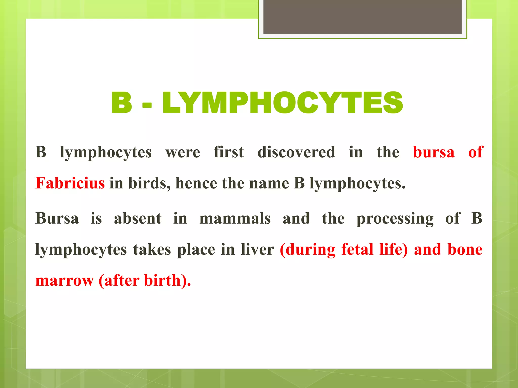 Lymphatic system Physiology | PPTX