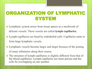 Lymphatic system Physiology | PPTX