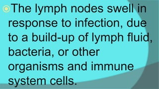 Lymphatic system | PPTX