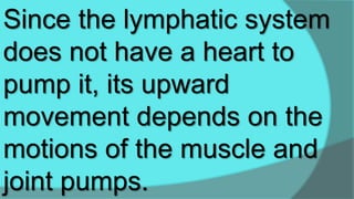 Lymphatic system | PPTX