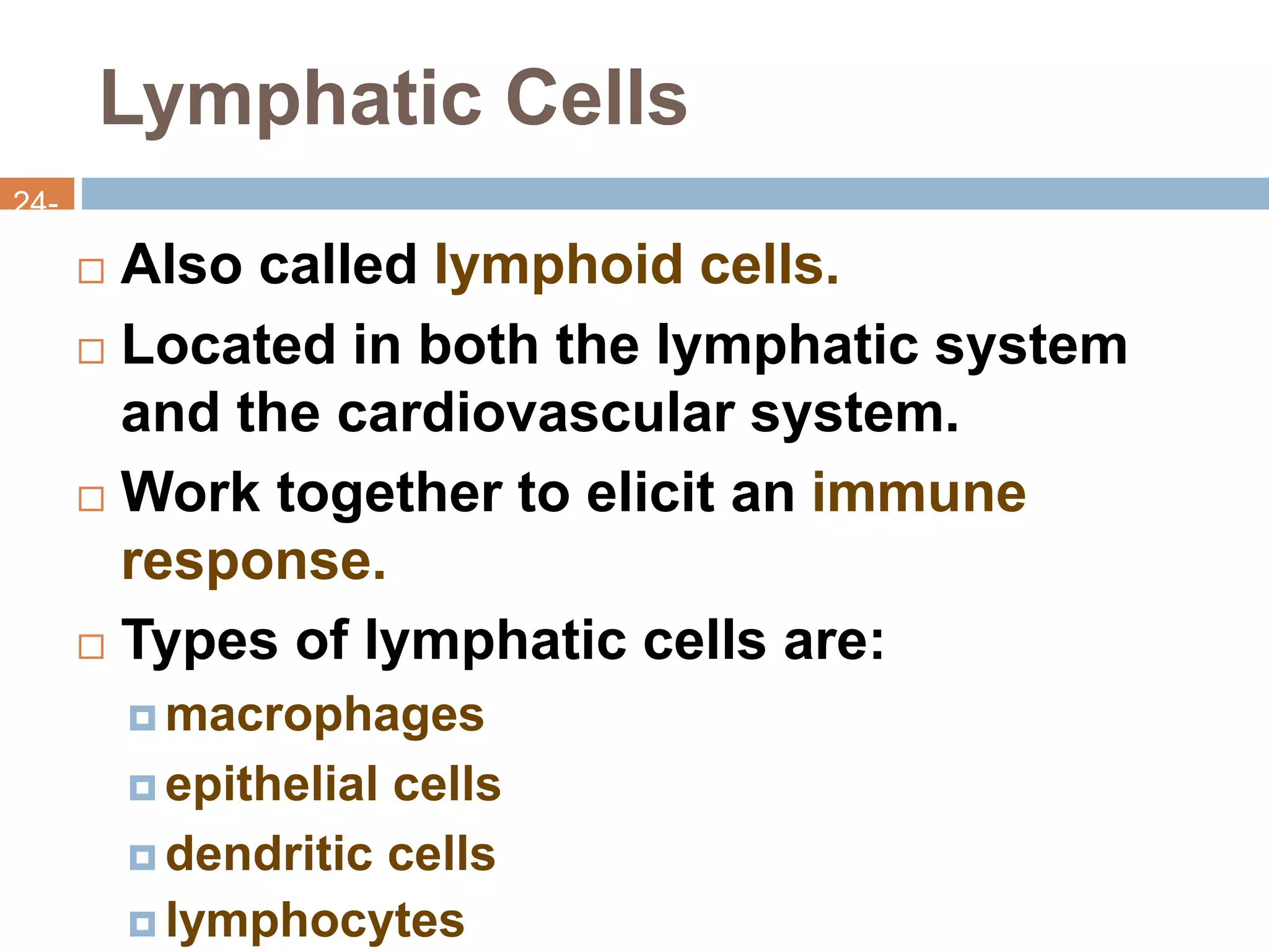 Lymphatic system | PPT