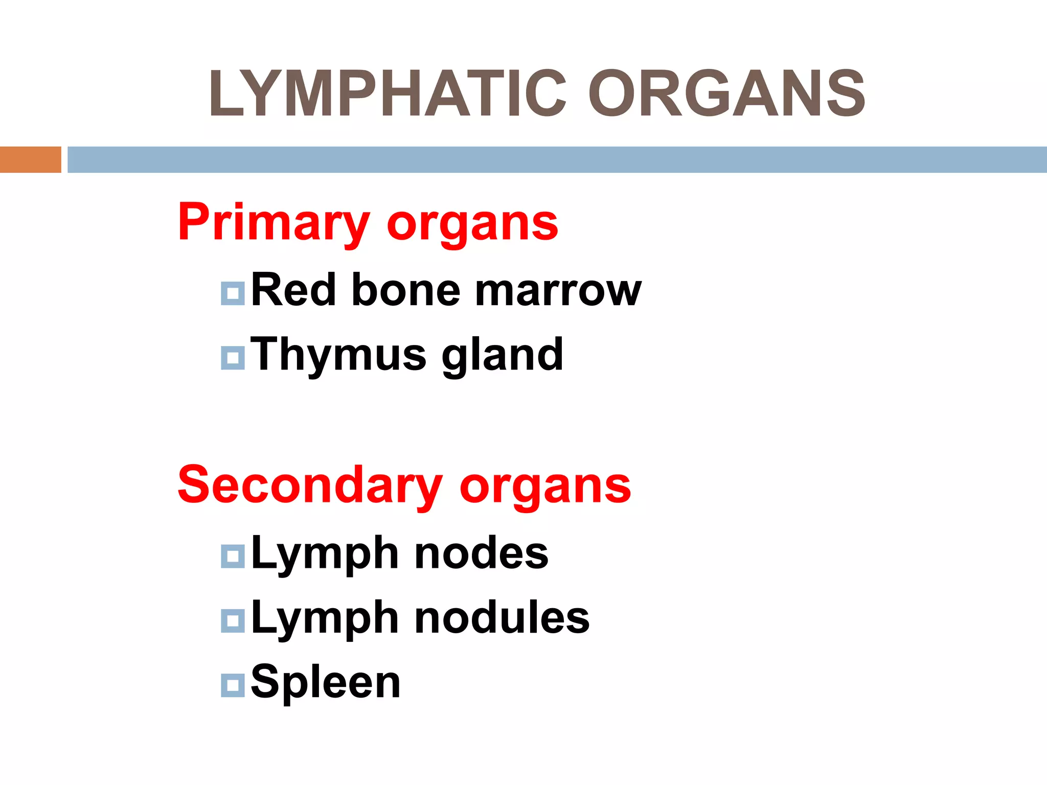 Lymphatic system | PPT