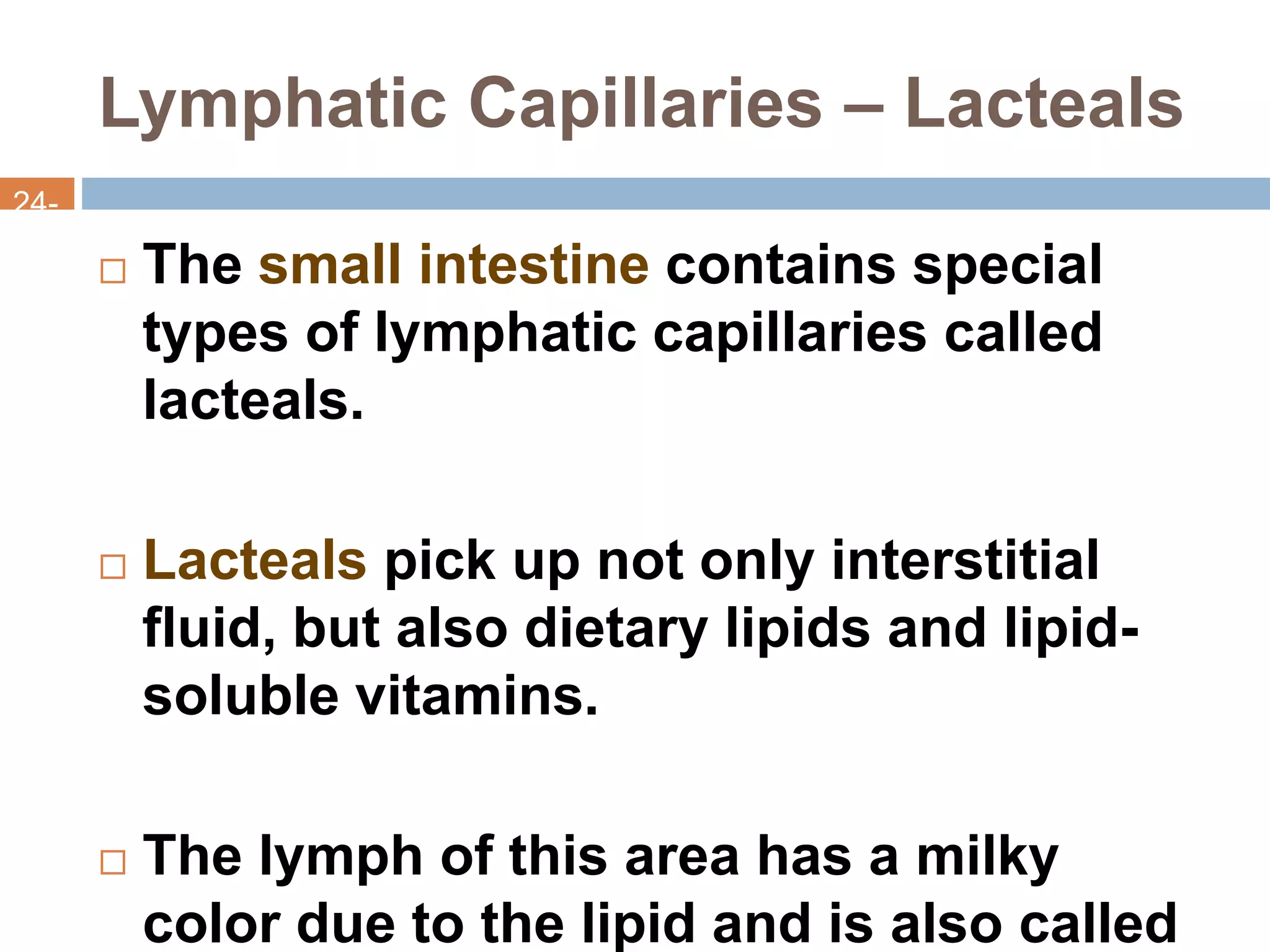 Lymphatic system | PPT