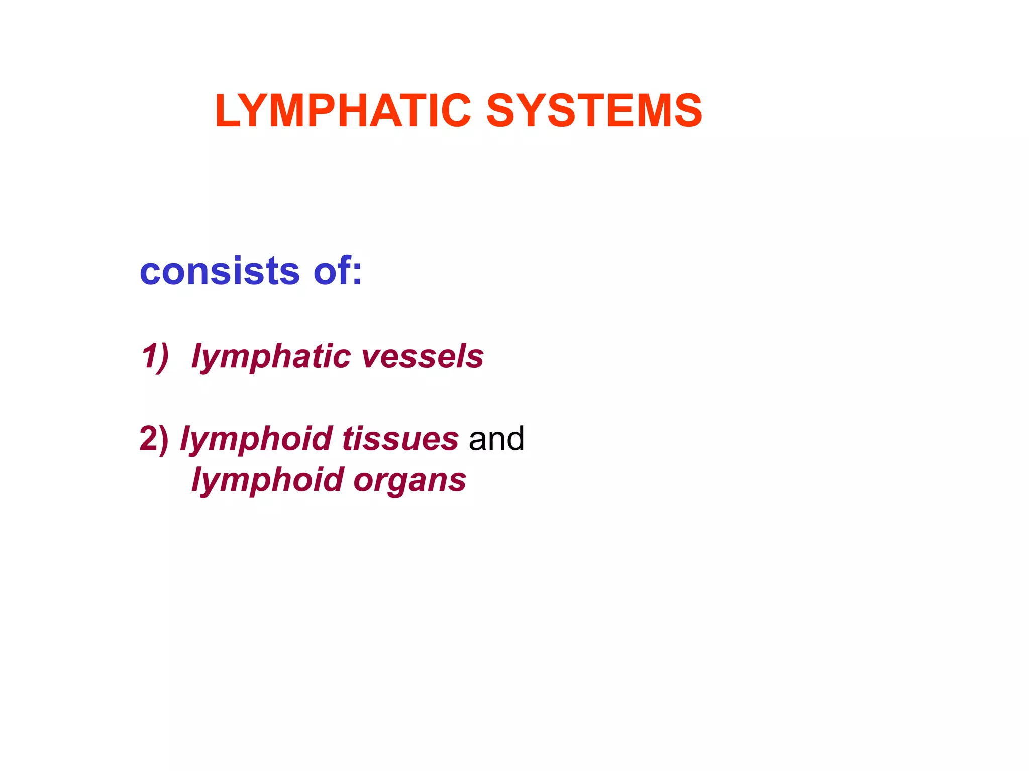 histology of Lymphatic system | PDF