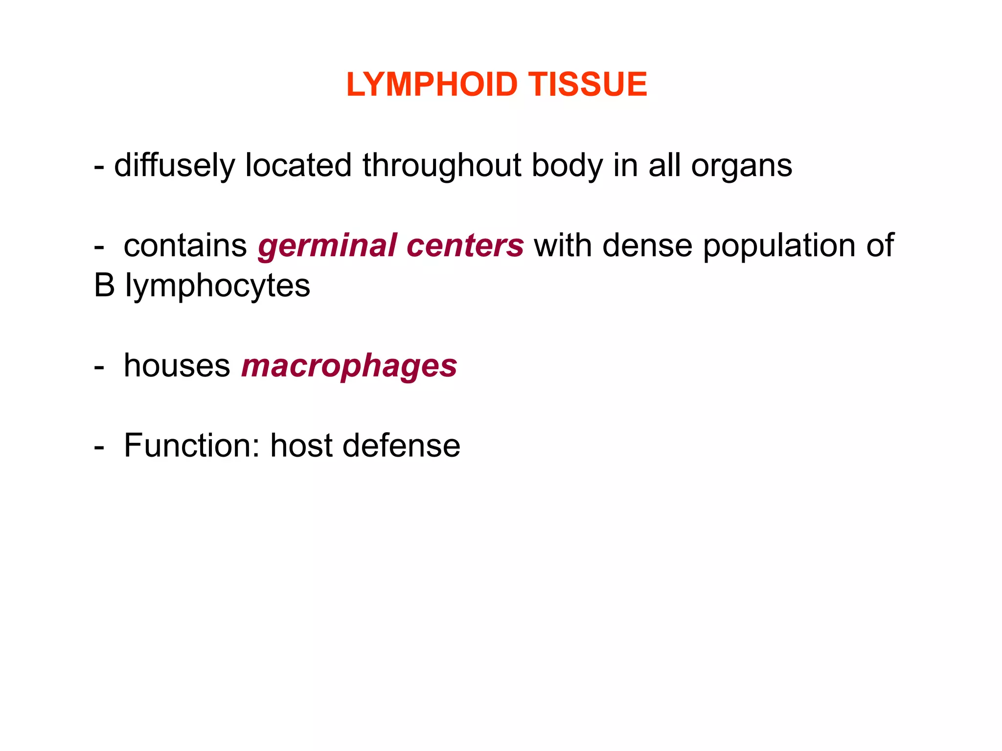 histology of Lymphatic system | PDF