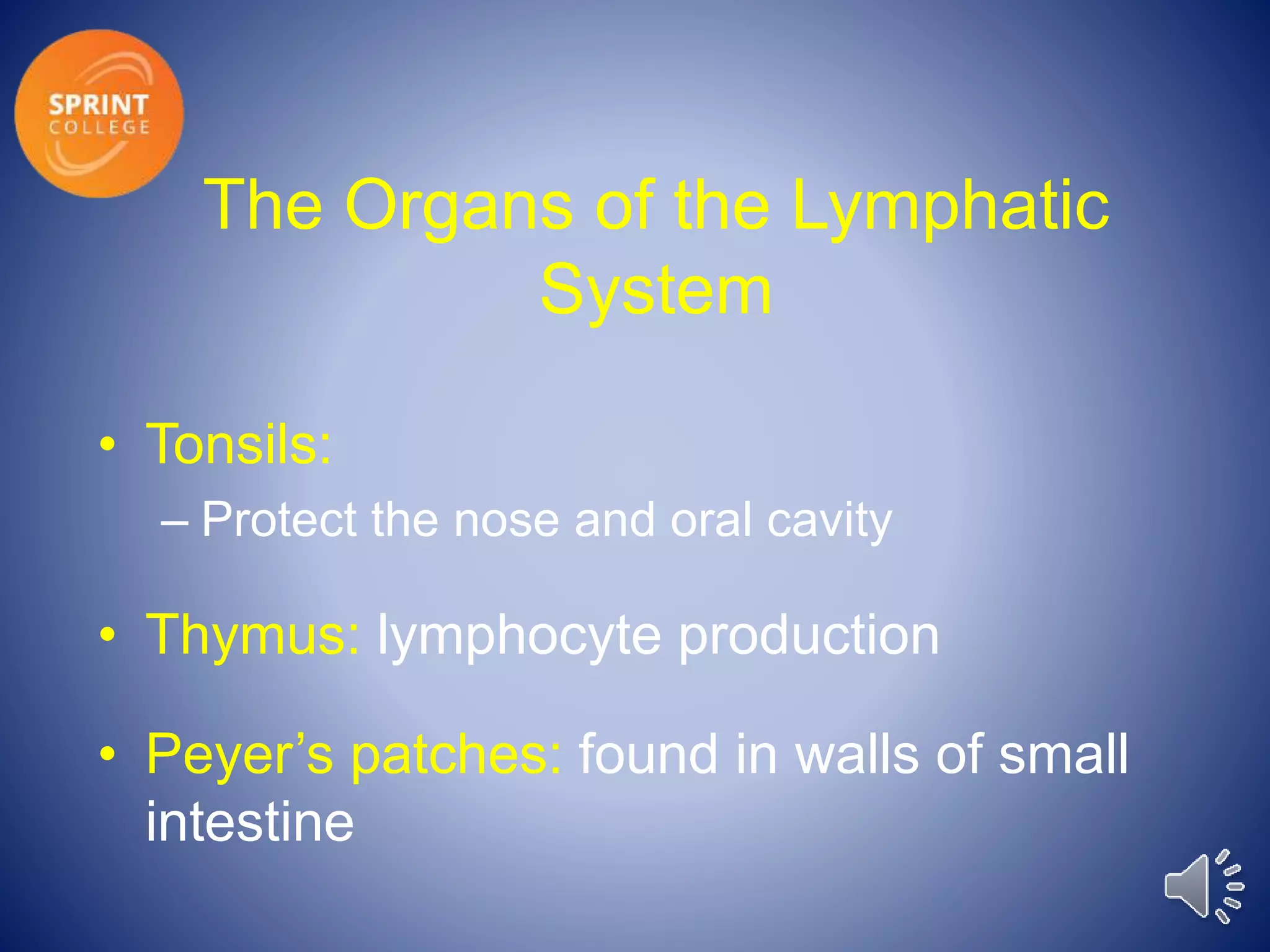 Lymphatic system | PPT