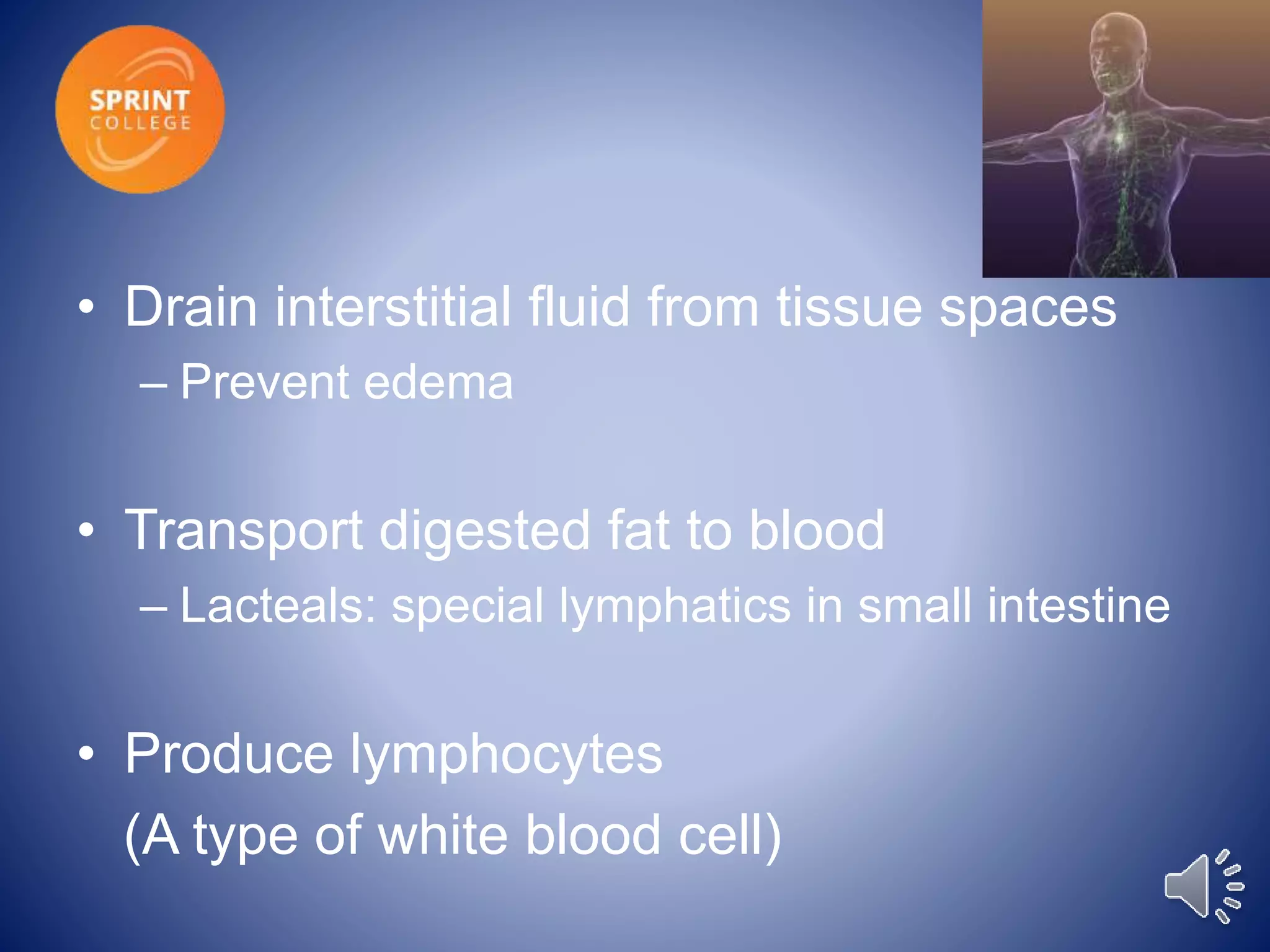 Lymphatic system | PPT