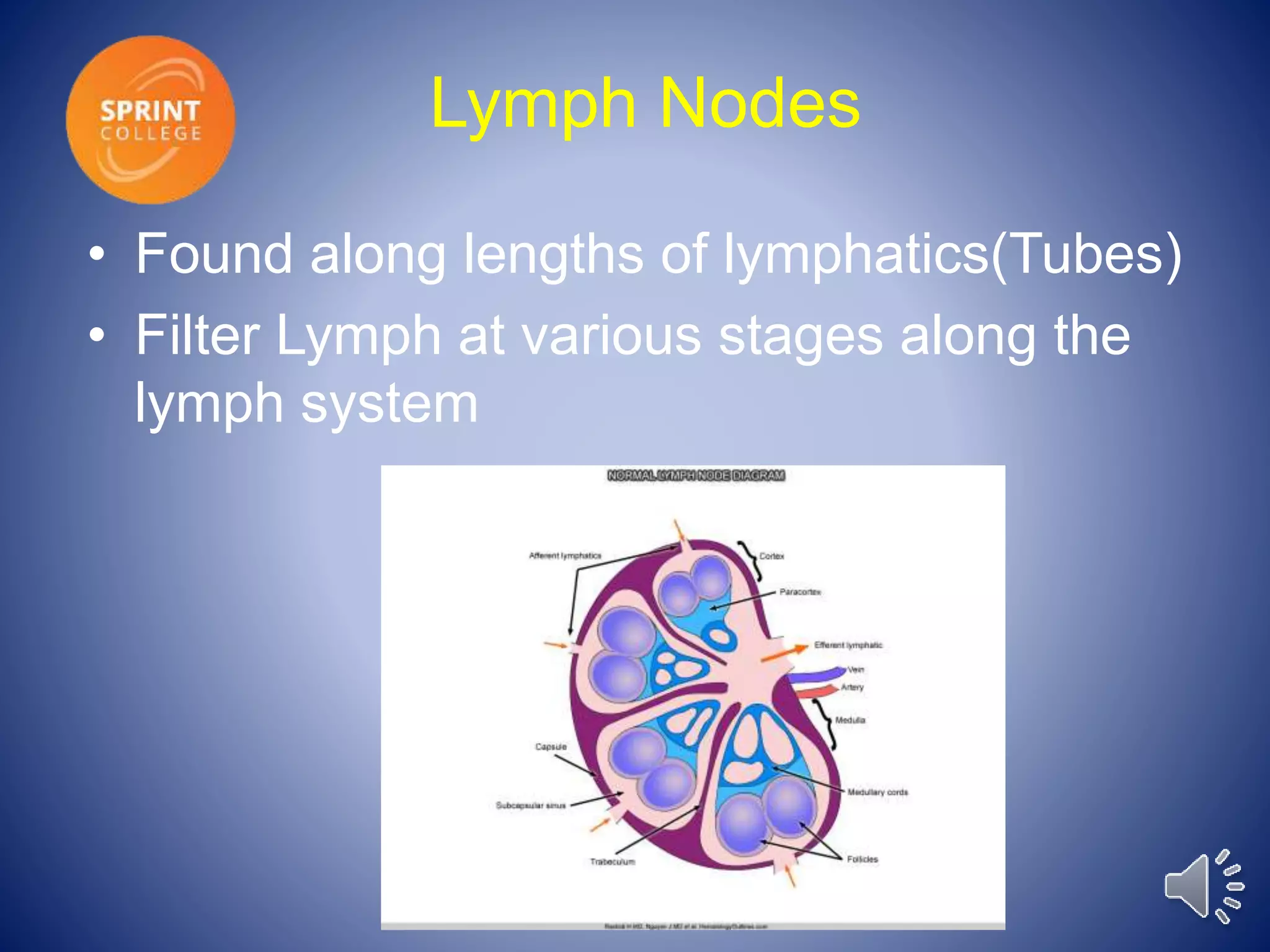 Lymphatic system | PPT