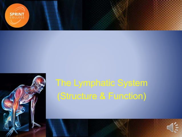 Lymphatic system | PPT
