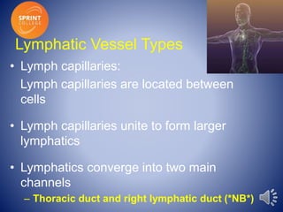 Lymphatic system | PPT