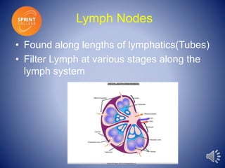 Lymphatic system | PPT