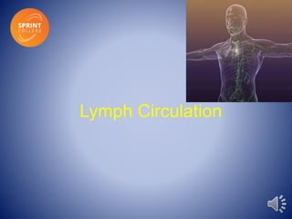 Lymphatic system | PPT