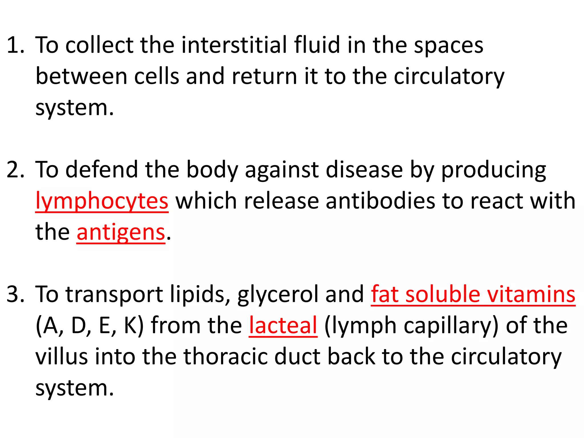 Lymphatic system | PPTX | Heart and Cardiovascular Diseases | Diseases ...