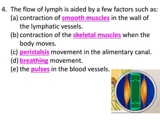 Lymphatic system | PPTX | Heart and Cardiovascular Diseases | Diseases ...