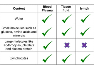 Lymphatic system | PPTX | Heart and Cardiovascular Diseases | Diseases ...