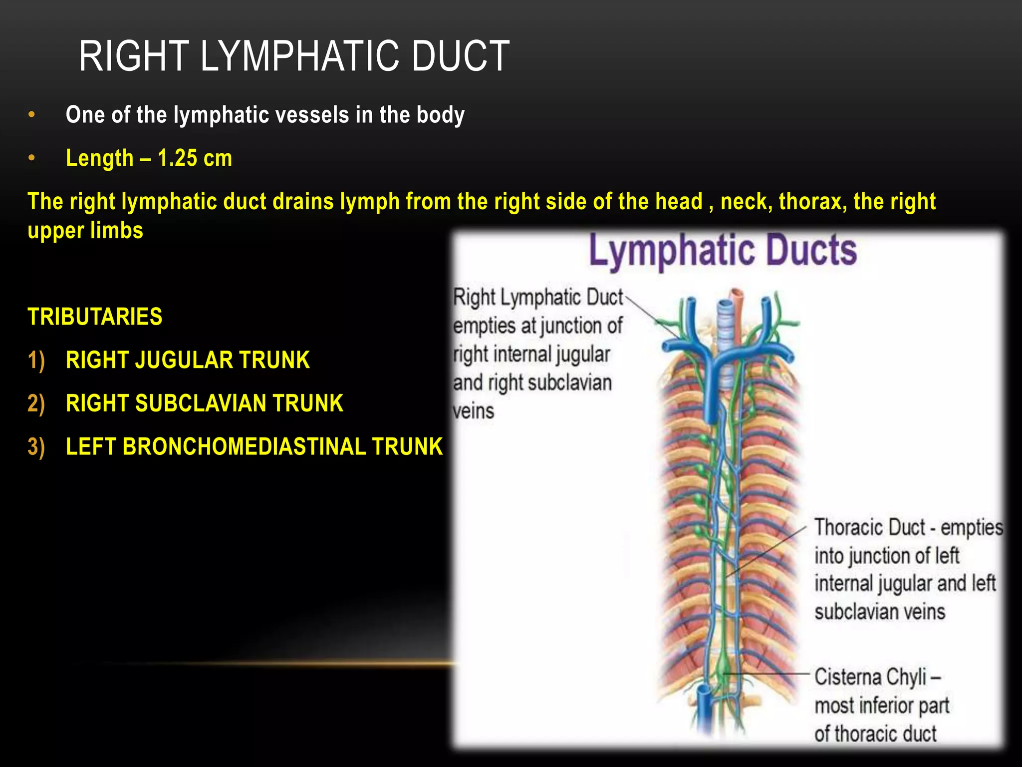 Lymphatic system | PPTX