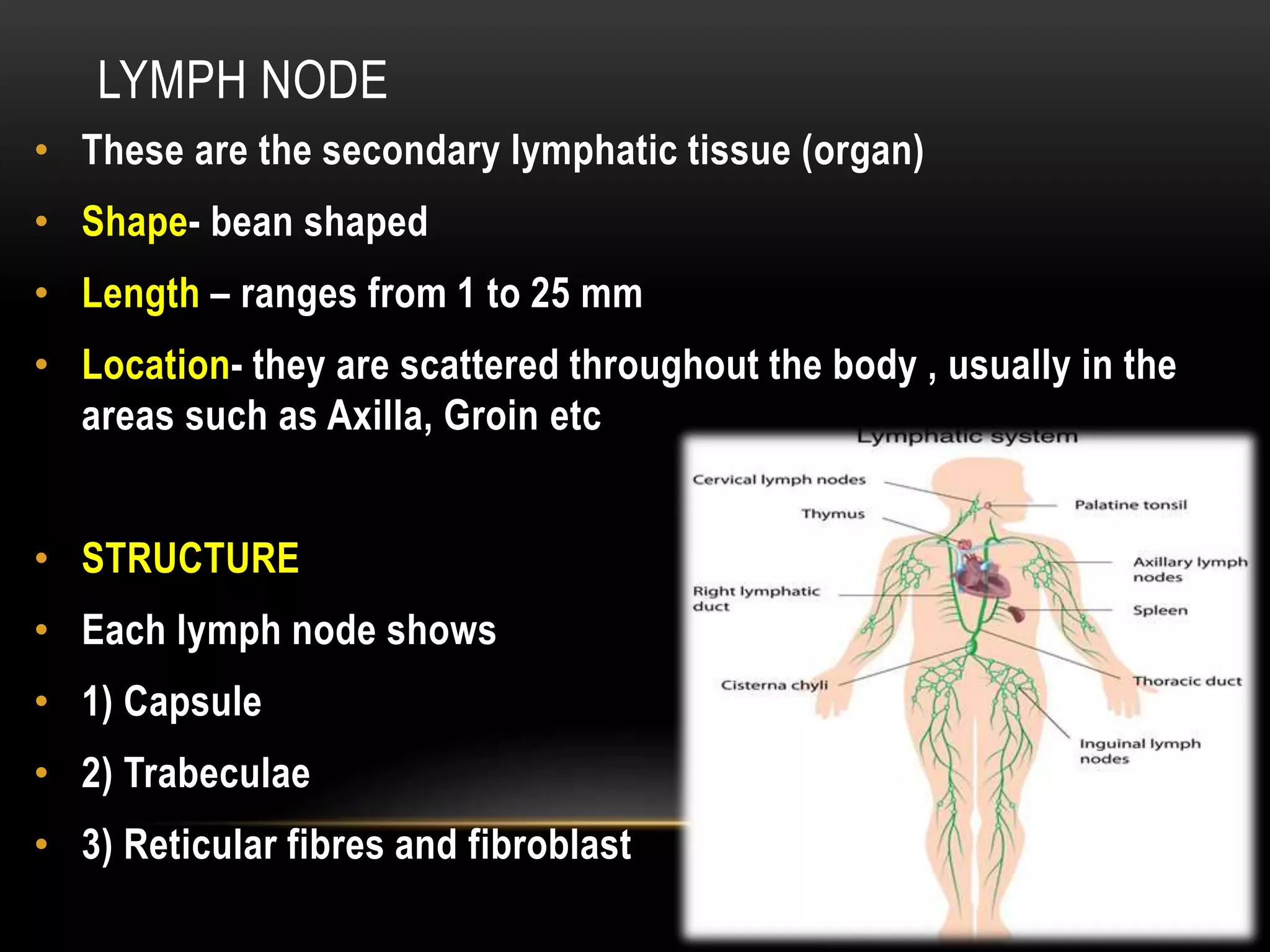 Lymphatic system | PPTX