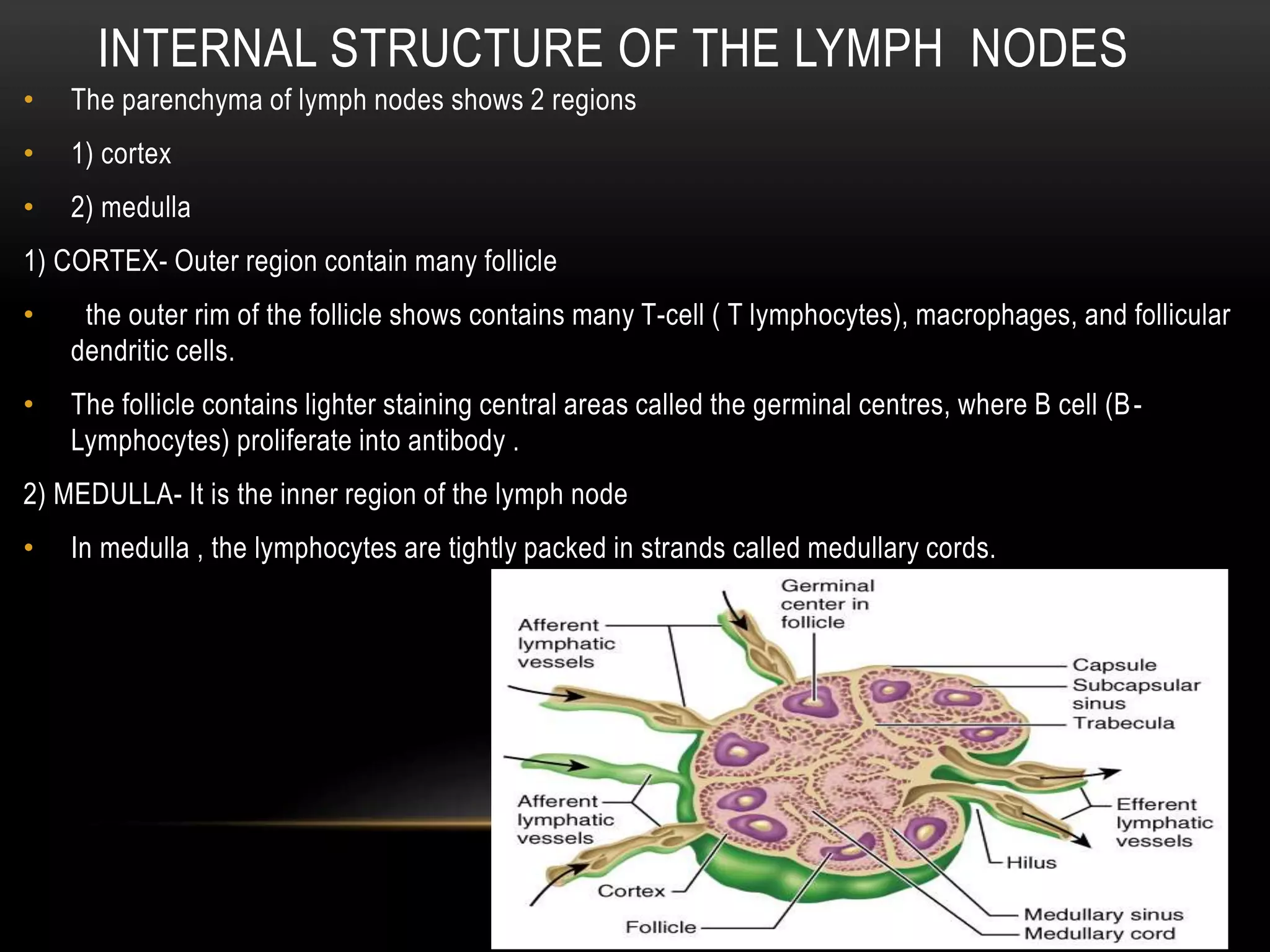 Lymphatic system | PPTX
