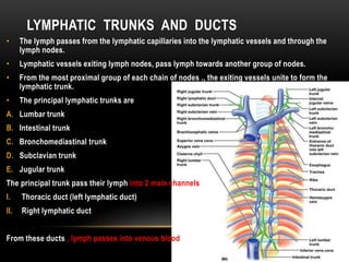 Lymphatic system | PPT