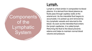 Lymphatic system | PPT