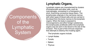 Lymphatic system | PPT
