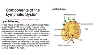 Lymphatic system | PPTX