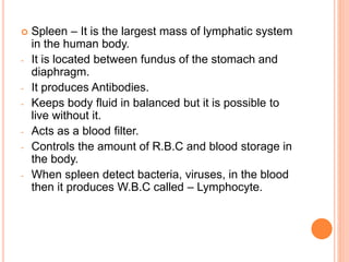 Lymphatic system | PPTX