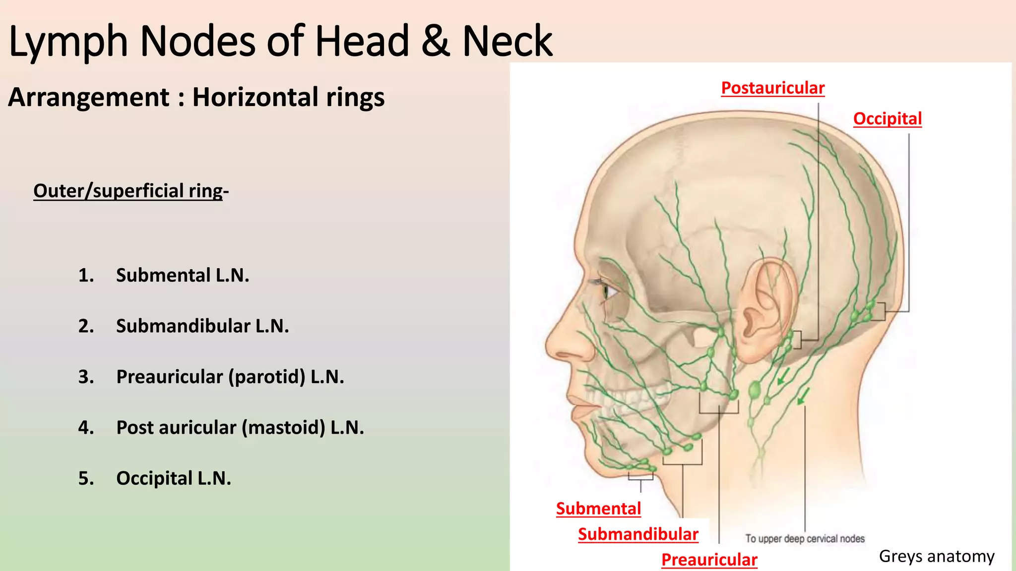 Lymphatic system of Head&Neck ; TNM Staging 8th edition | PPTX