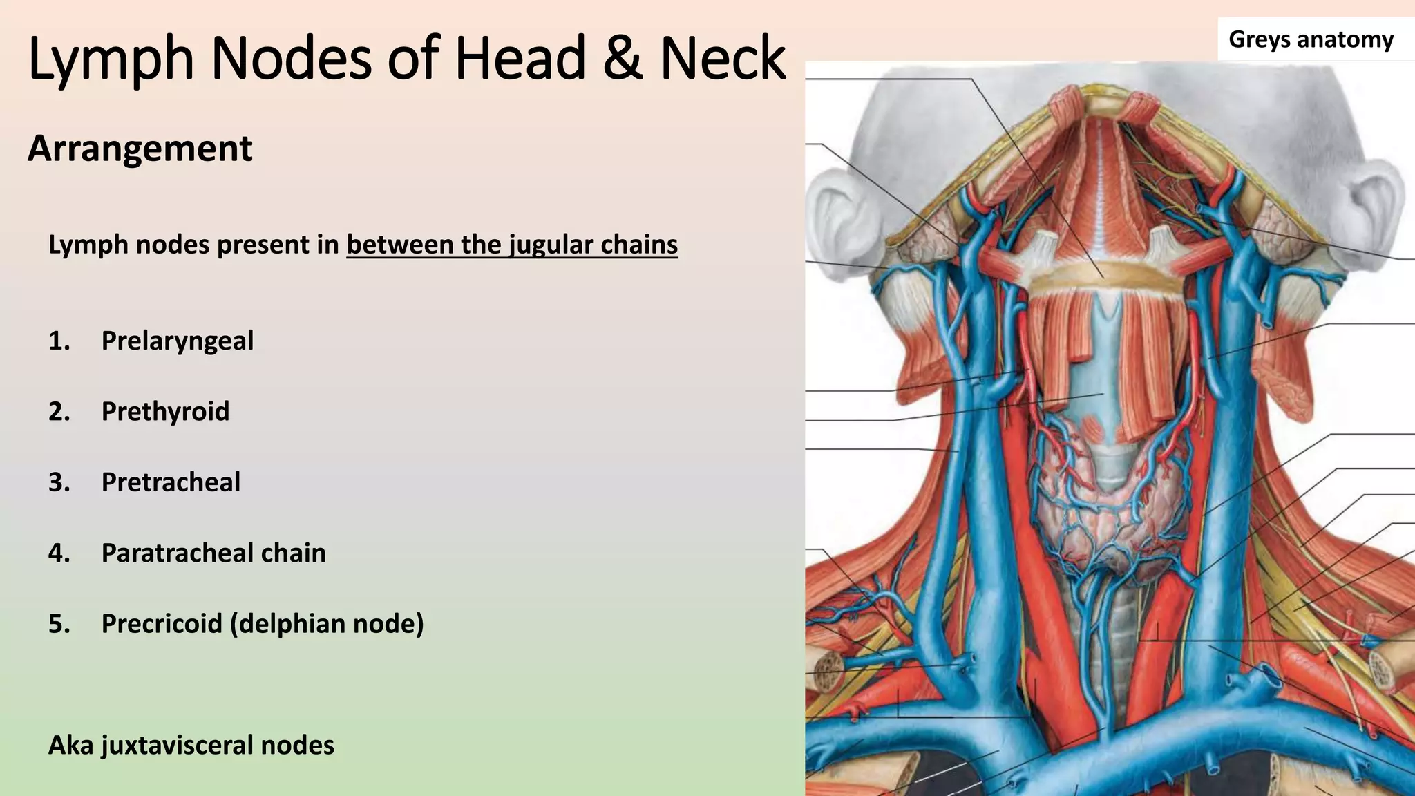 Lymphatic system of Head&Neck ; TNM Staging 8th edition | PPTX