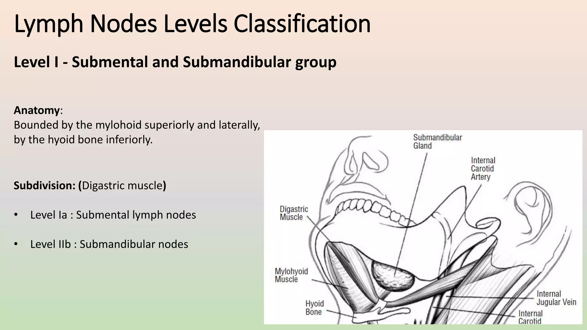 Lymphatic system of Head&Neck ; TNM Staging 8th edition | PPTX