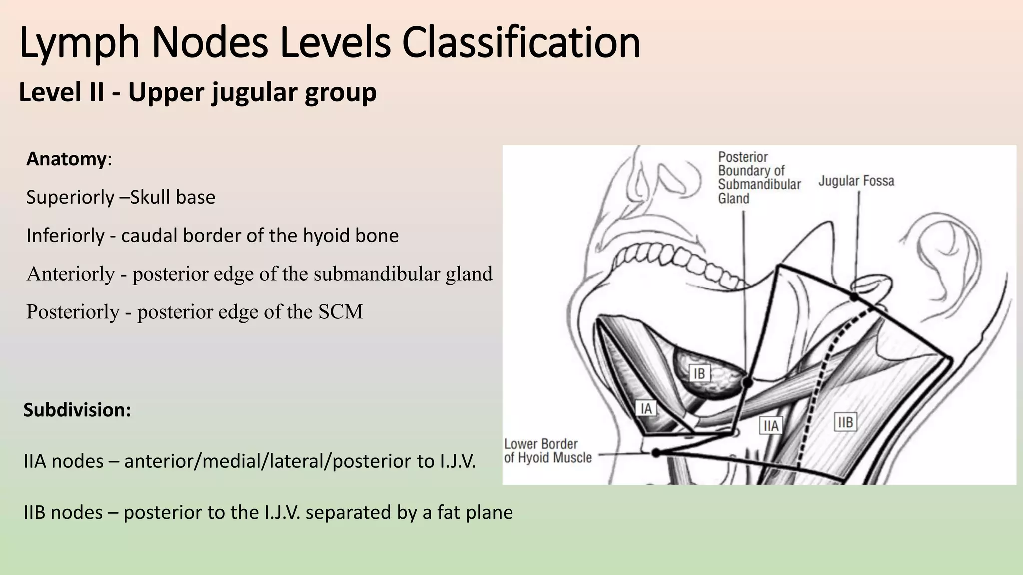 Lymphatic system of Head&Neck ; TNM Staging 8th edition | PPTX