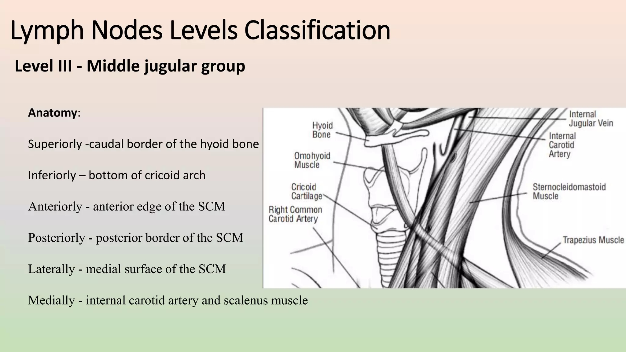 Lymphatic system of Head&Neck ; TNM Staging 8th edition | PPTX