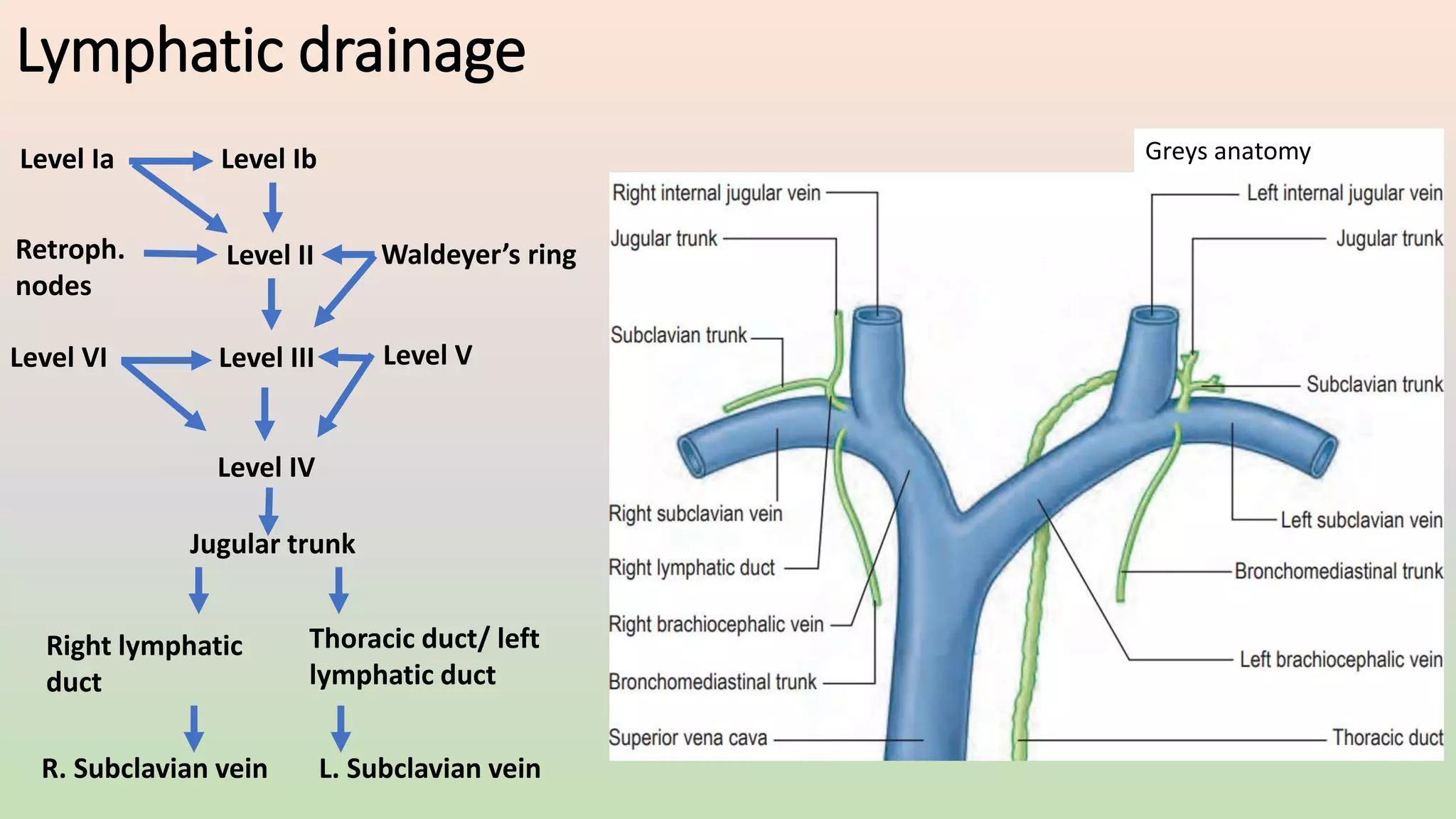 Lymphatic system of Head&Neck ; TNM Staging 8th edition | PPTX