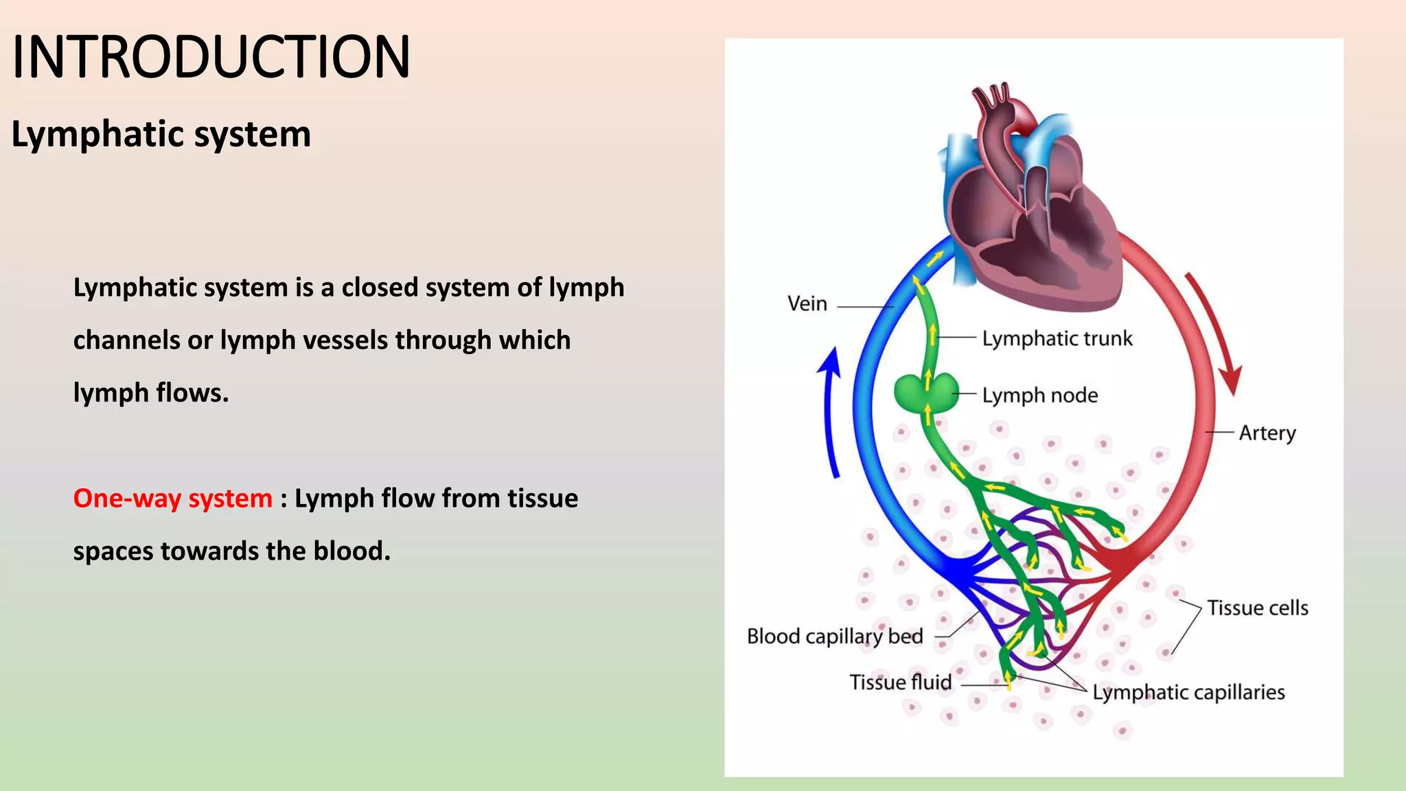 Lymphatic system of Head&Neck ; TNM Staging 8th edition | PPTX