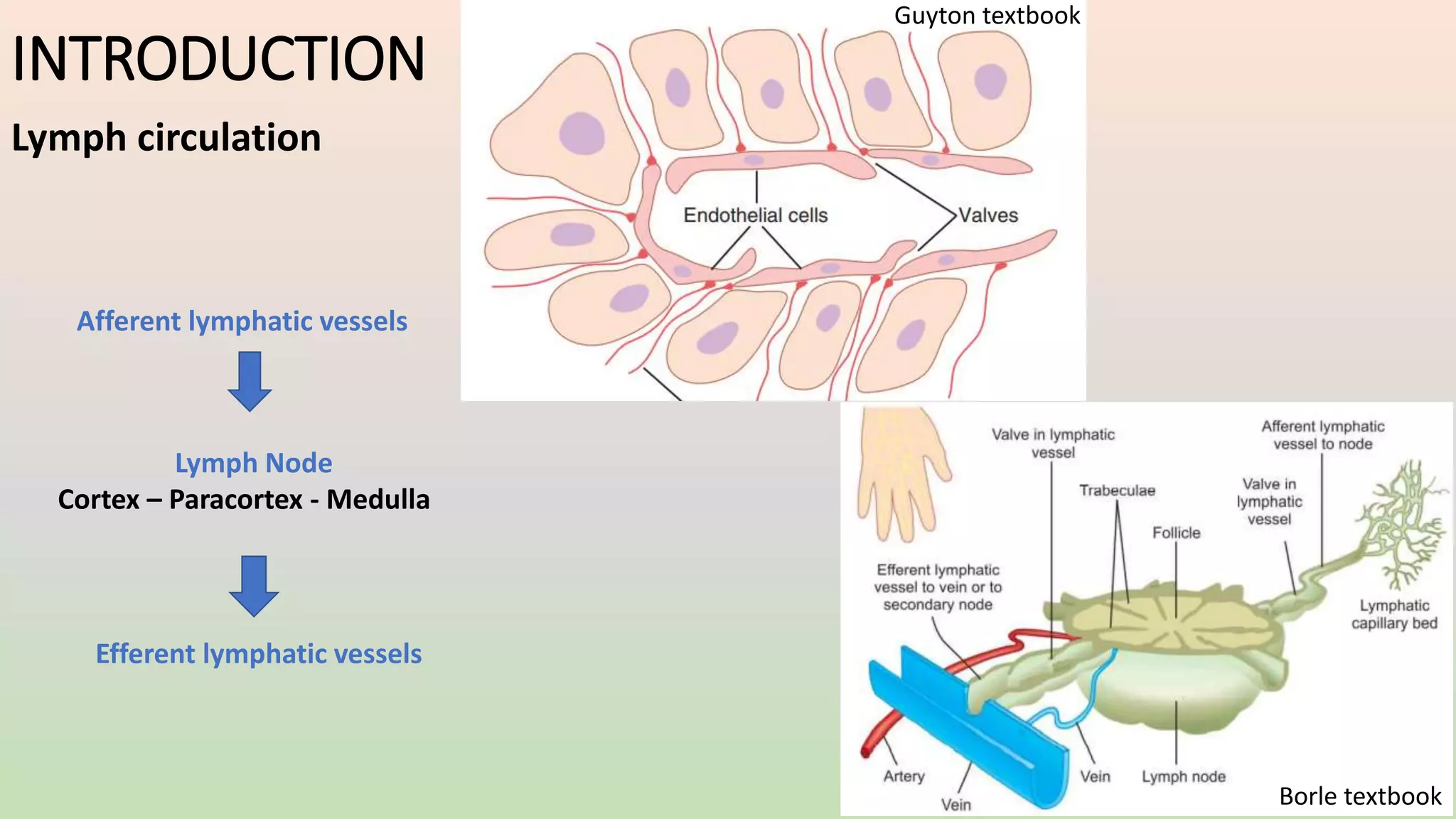 Lymphatic system of Head&Neck ; TNM Staging 8th edition | PPTX