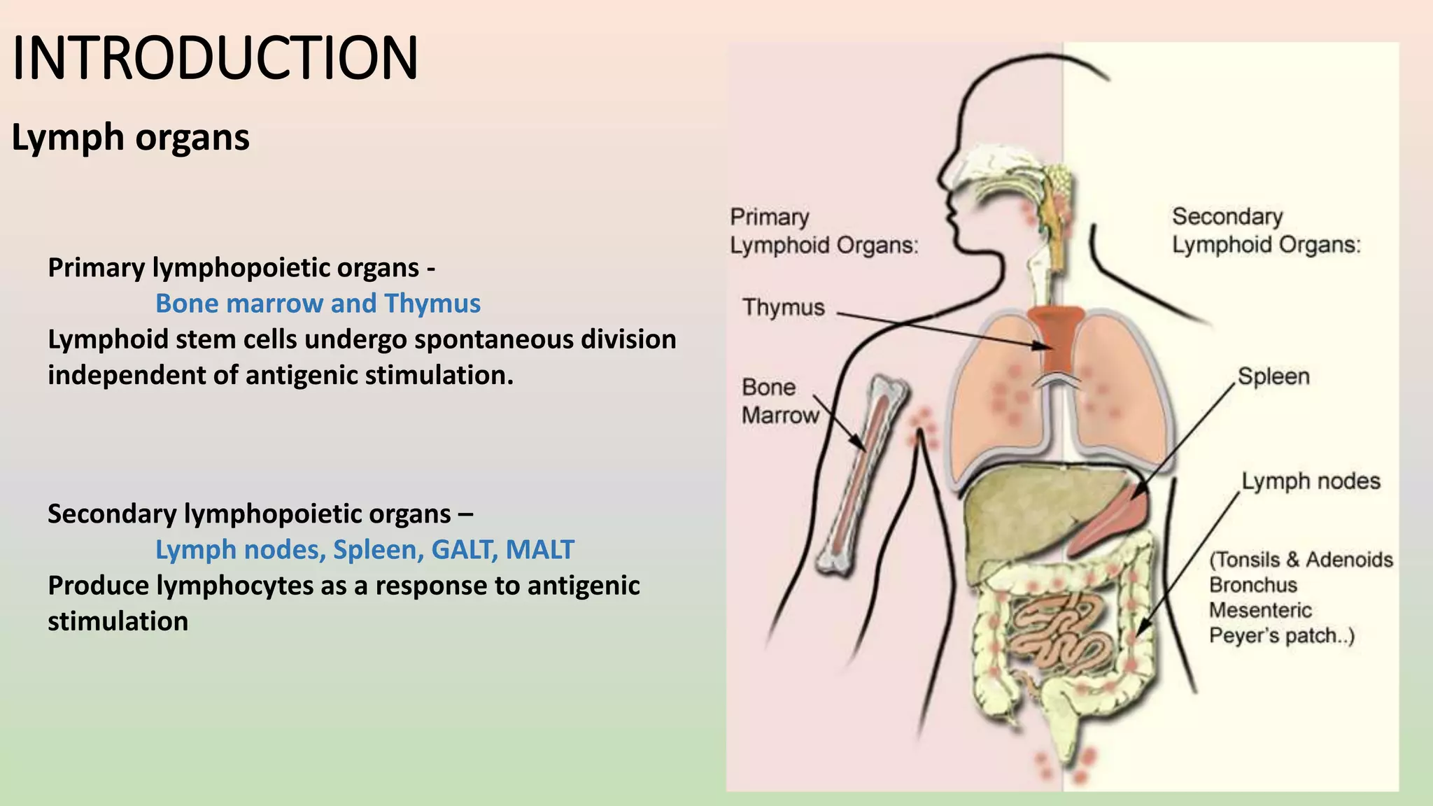 Lymphatic system of Head&Neck ; TNM Staging 8th edition | PPTX