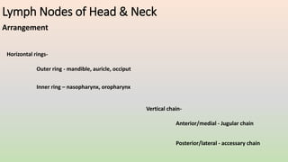 Lymphatic system of Head&Neck ; TNM Staging 8th edition | PPTX