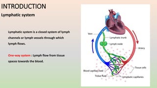 Lymphatic system of Head&Neck ; TNM Staging 8th edition | PPTX