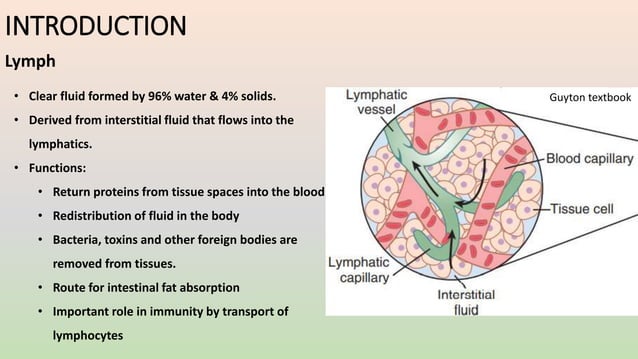 Lymphatic system of Head&Neck ; TNM Staging 8th edition | PPTX | Ear ...
