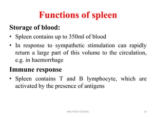 Lymphatic system | PPTX | Blood Disorders | Diseases and Conditions
