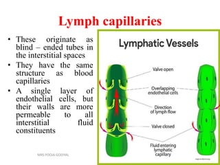 Lymphatic system | PPTX | Blood Disorders | Diseases and Conditions