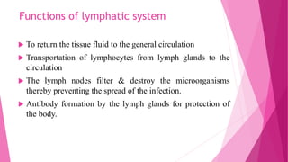 Lymphatic system | PPTX | Lung and Respiratory Health | Diseases and ...
