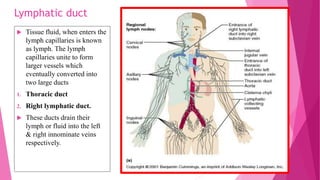 Lymphatic system | PPTX