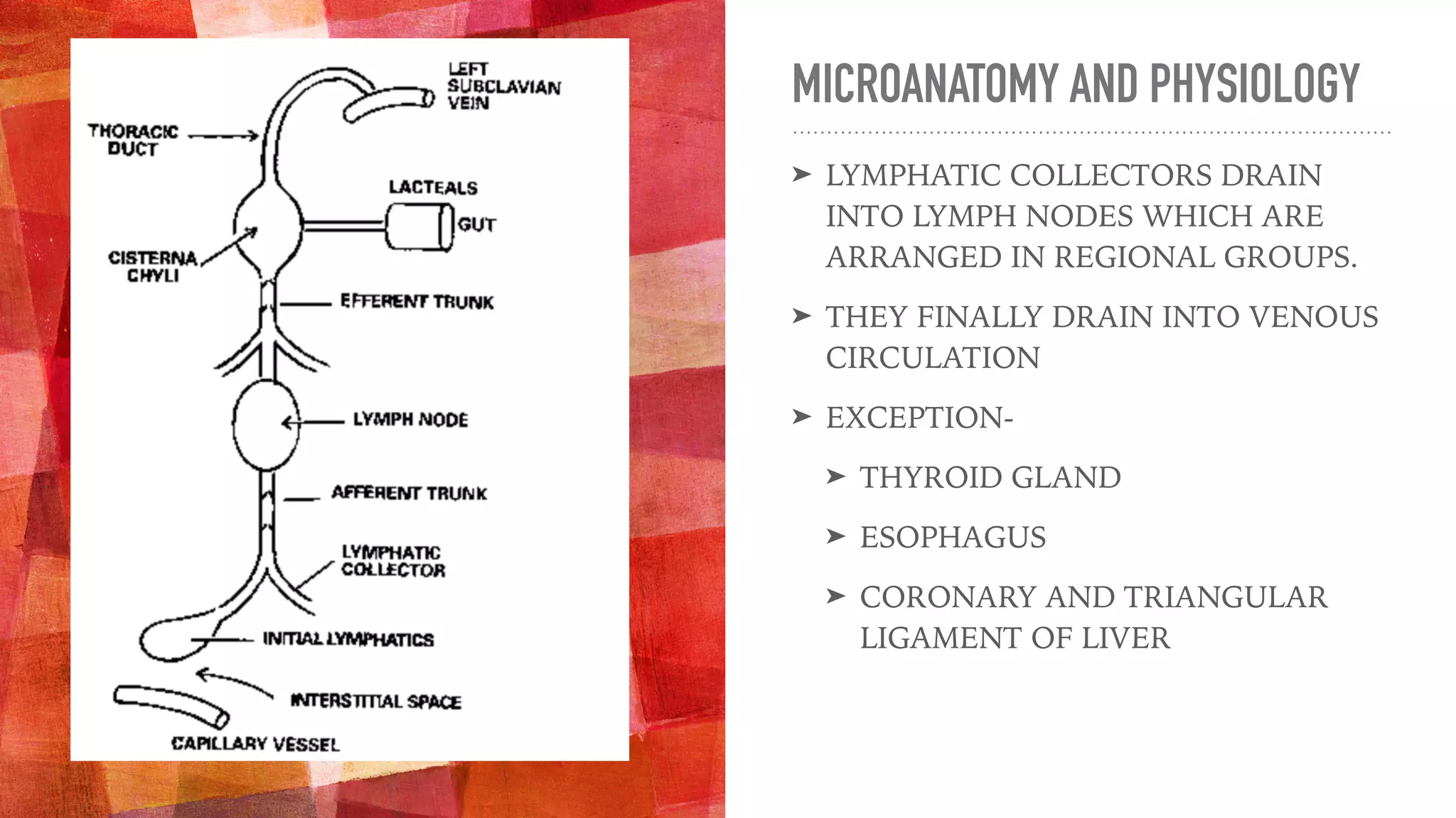 Lymphatic system | PPT